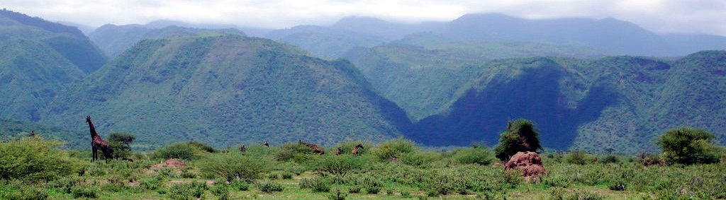 Monduli Mountains - Mlimani Safaris Africa